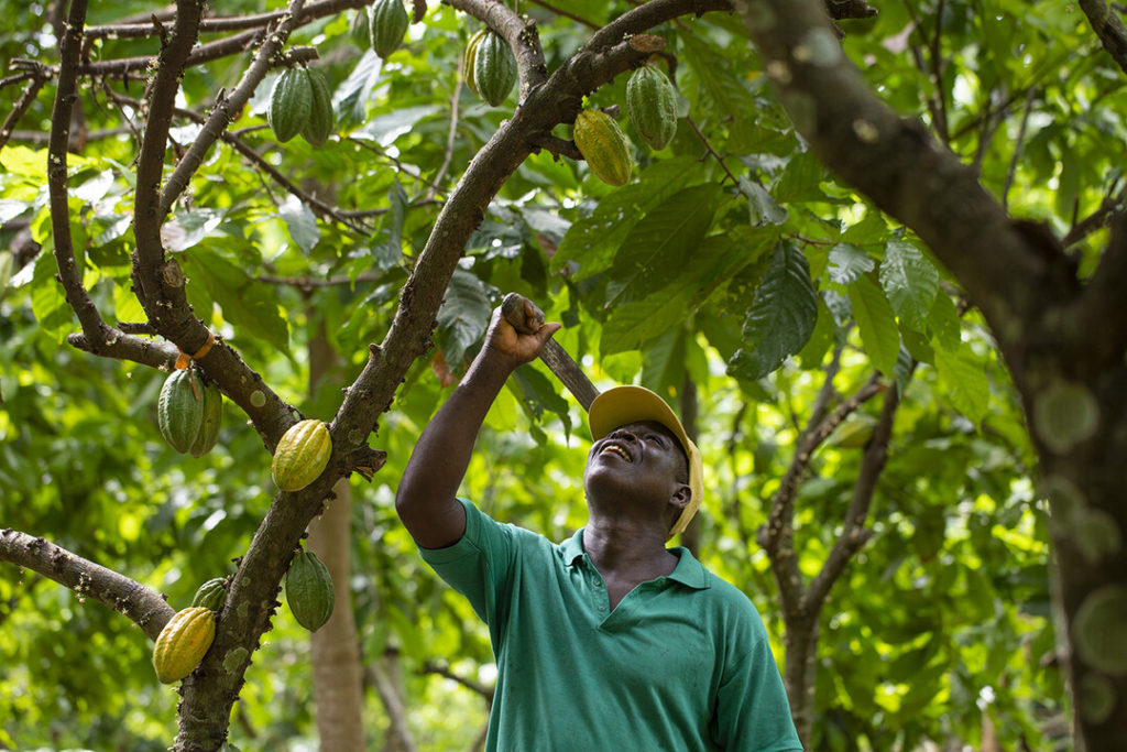 Word donateur en steun cacaoboeren
